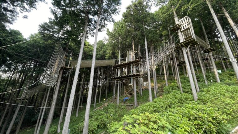 【三島スカイウォーク】アドベンチャーコースの見どころと所要時間 | Banzokuの鳥&旅ブログ
